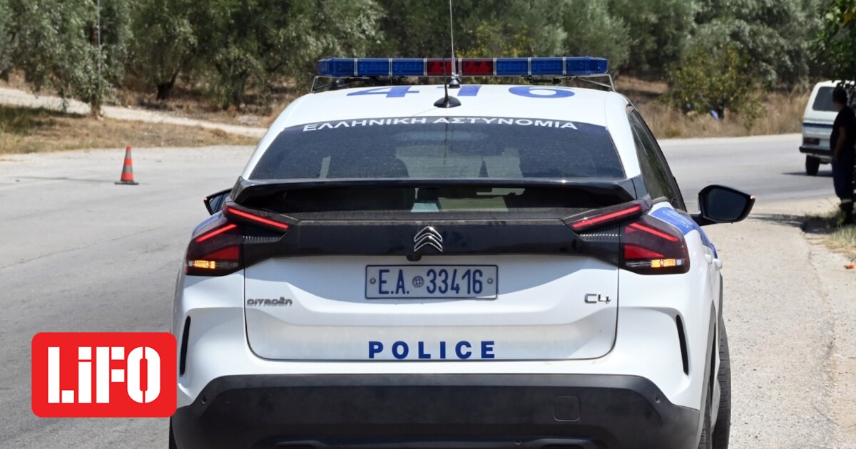 Λαμία: Ποινή φυλάκισης 5 ετών σε ψυχιατρείο στον 39χρονο που σκότωσε ...