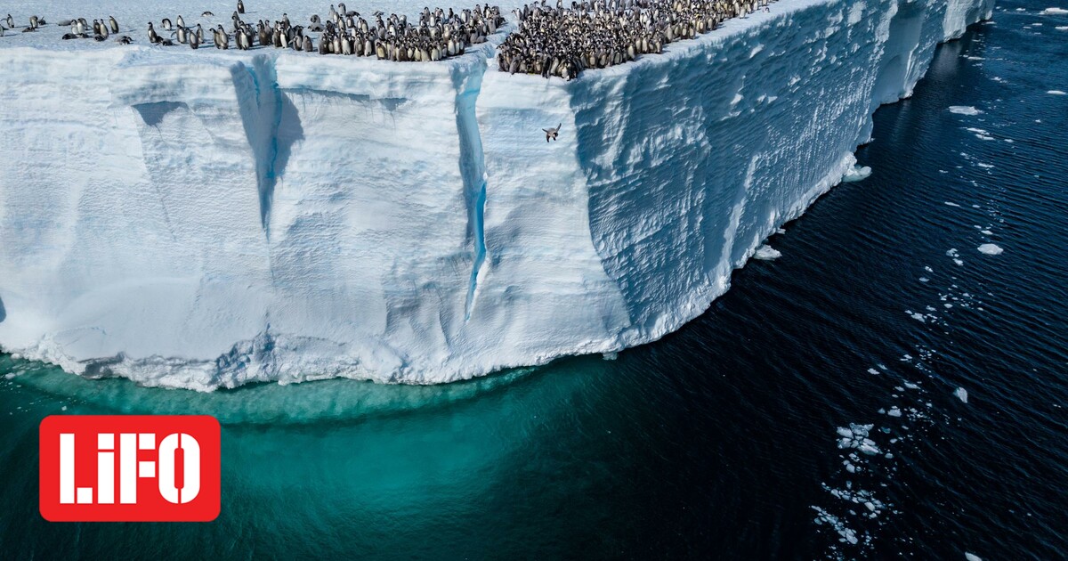 Δείτε τις 4 καλύτερες φωτογραφίες του National Geographic για το 2024 | LiFO