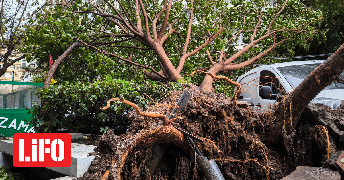 Κακοκαιρία Bora: Προβλήματα στα τρένα - Ποια δρομολόγια επηρεάζονται | LiFO