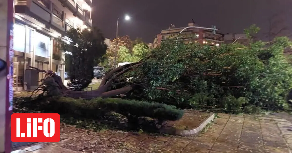 Κακοκαιρία στη Θεσσαλονίκη: Θυελλώδεις άνεμοι ξερίζωσαν δέντρα | LiFO