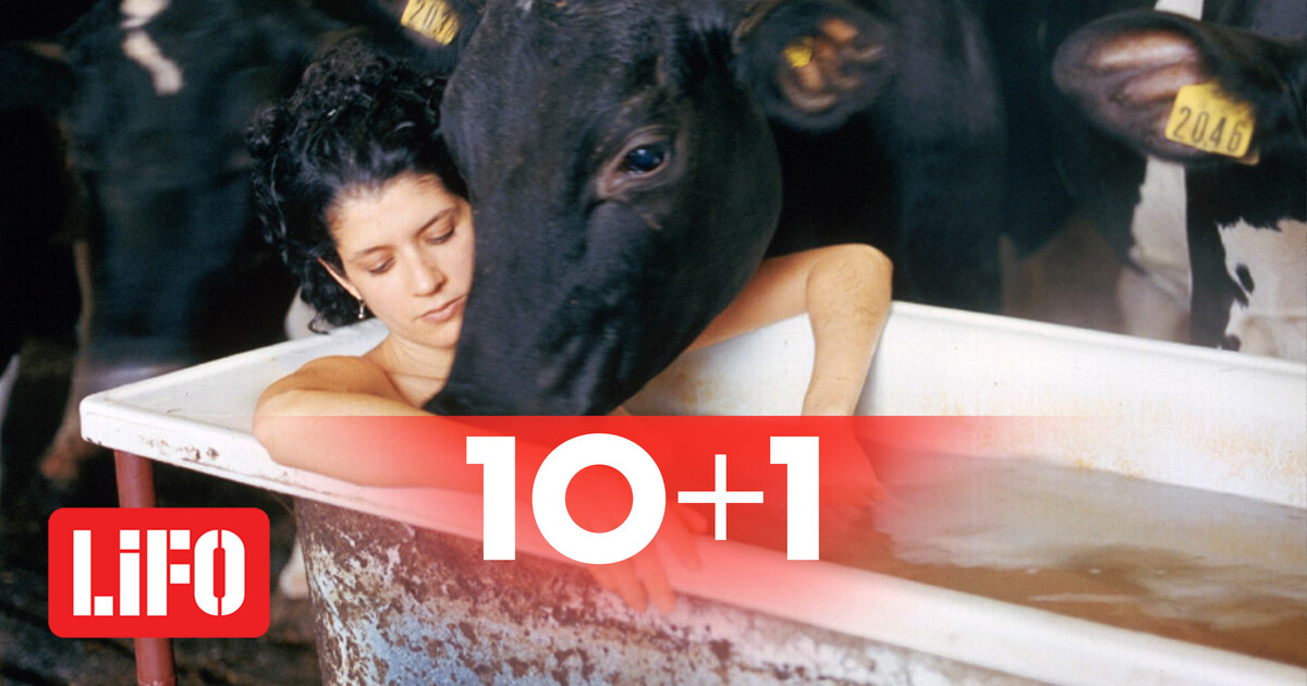 1Ο+1 εξαιρετικά αναγνώσματα για το τέλος της εβδομάδας [06.12.24] | LiFO