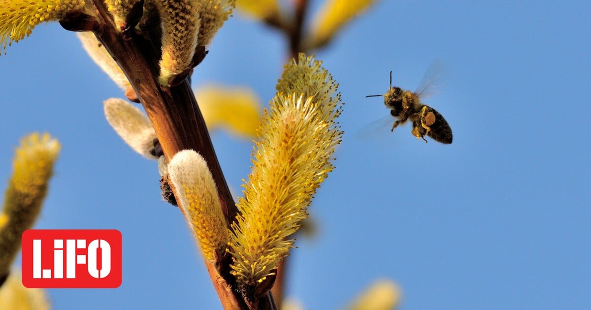 Endless EC: Μικρές πράξεις, μεγάλες αλλαγές που μεταμορφώνουν ζωές και κοινωνίες | LiFO