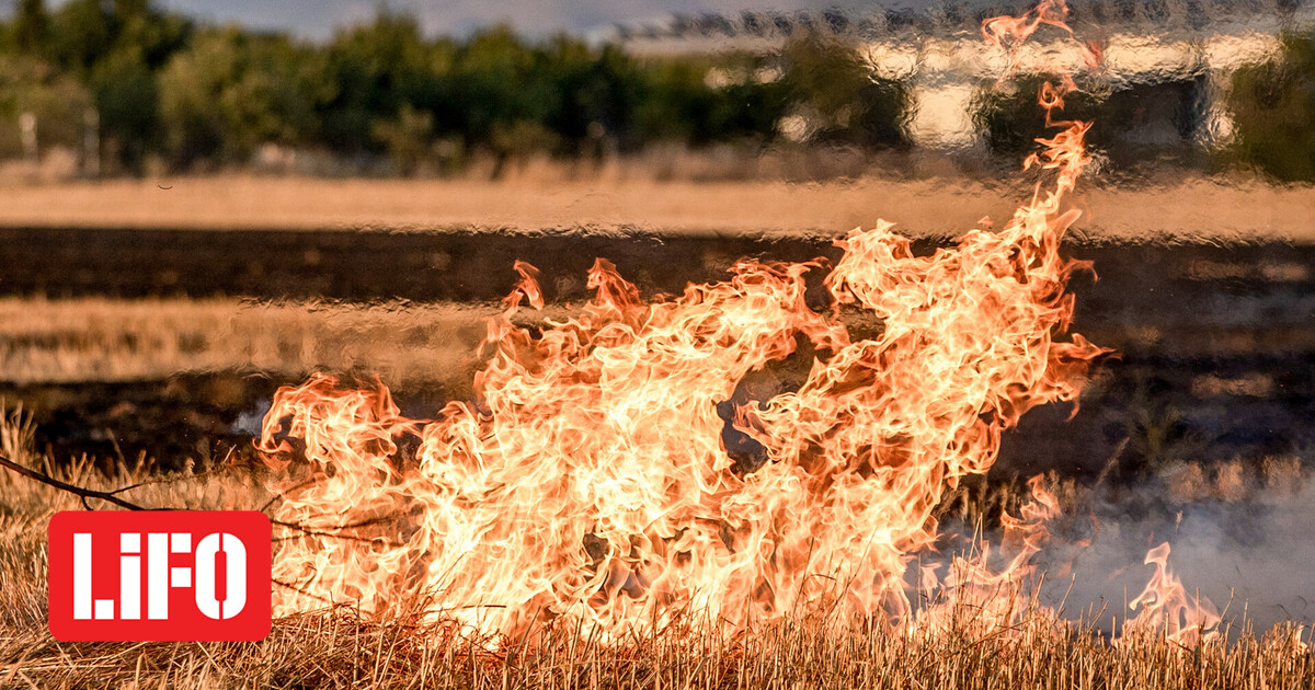 Καπνοί από πυρκαγιά απειλούν τον Βοτανικό - Μήνυμα από το 112 | LiFO