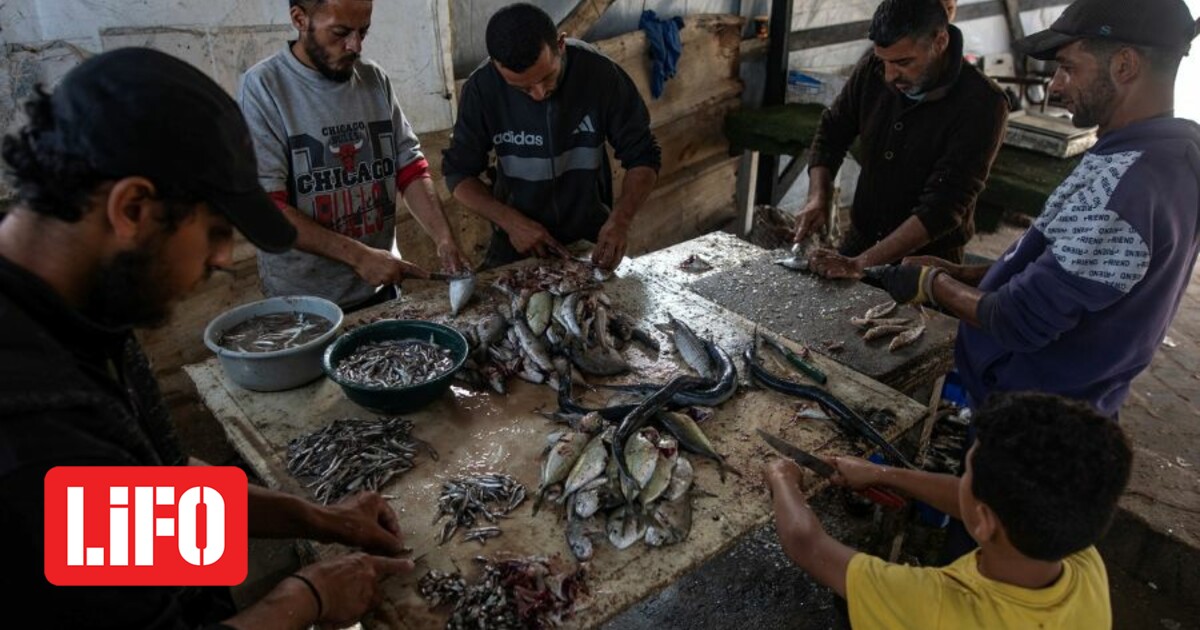 Στα πρόθυρα λιμού η Γάζα: «Στο μέλλον θα μας ρωτούν τι κάναμε για να σταματήσουμε αυτήν τη φρίκη ...