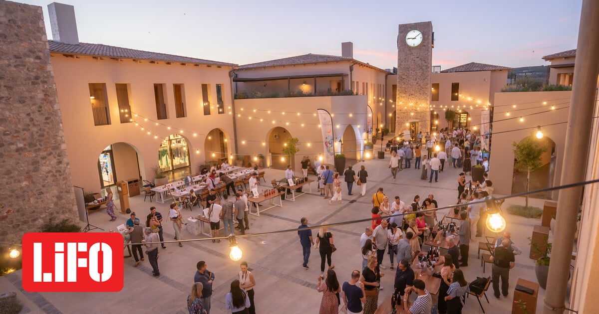 Messinia Terroirs Wine Festival: Ένα τριήμερο γεμάτο γεύσεις και ...