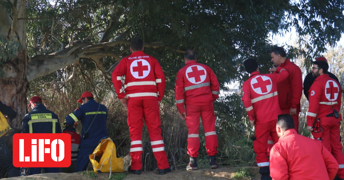 Αχαΐα: Αγνοείται πεζοπόρος στο Δάσος της Αροανίας - Τηλεφώνησε στο «112» | LiFO