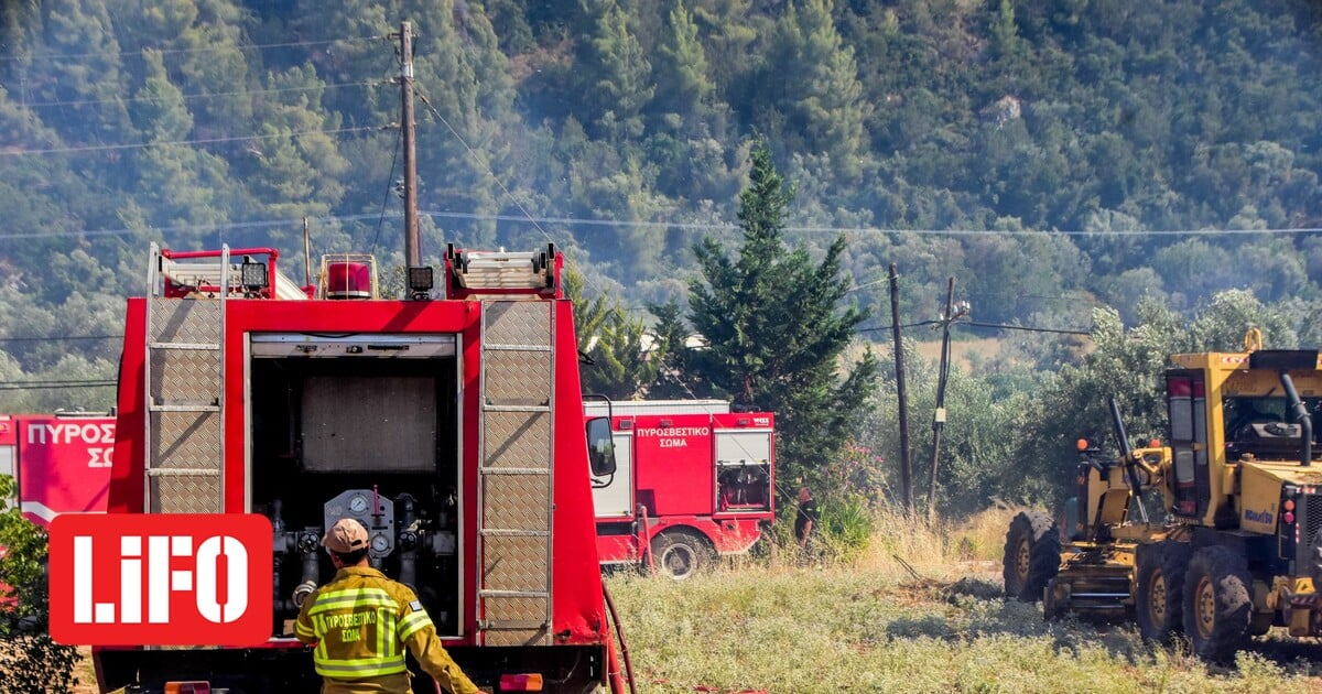 Φωτιά τώρα στη Χίο - Μήνυμα του 112 σε κατοίκους για να απομακρυνθούν | LiFO