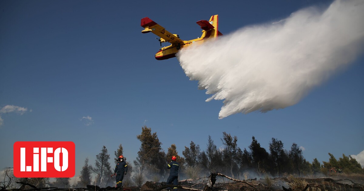 Φωτιά στην Εύβοια - Προειδοποιητικό μήνυμα μέσω του 112 | LiFO