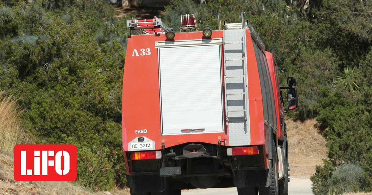 Φωτιά τώρα στην περιοχή Λευκόχωμα Λακωνίας - Μήνυμα από το 112 | LiFO