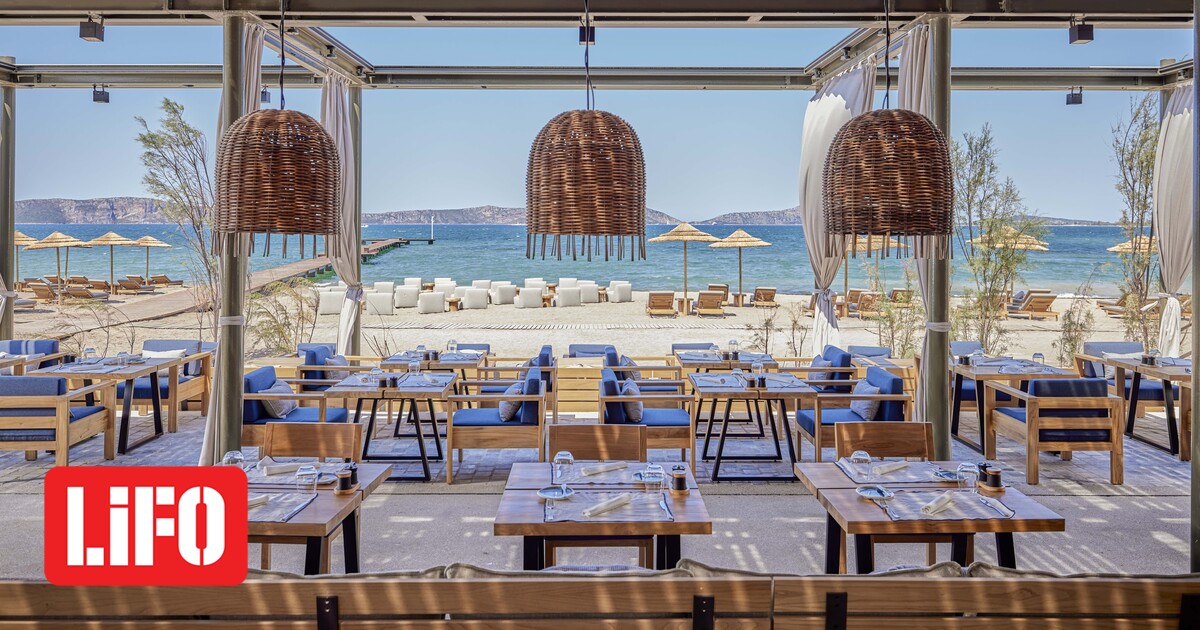 Chefs on fire: Καταξιωμένοι σεφ βάζουν και φέτος «φωτιά» στη ...