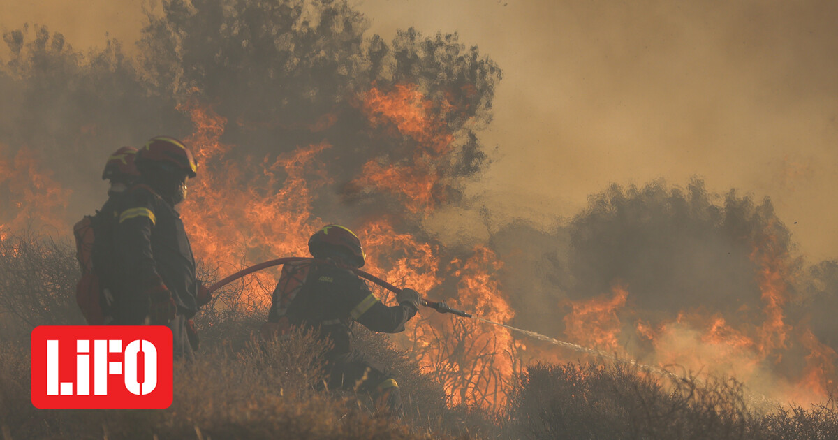 Φωτιά στην Ιεράπετρα: Μήνυμα του 112 για εκκένωση 4 περιοχών | LiFO