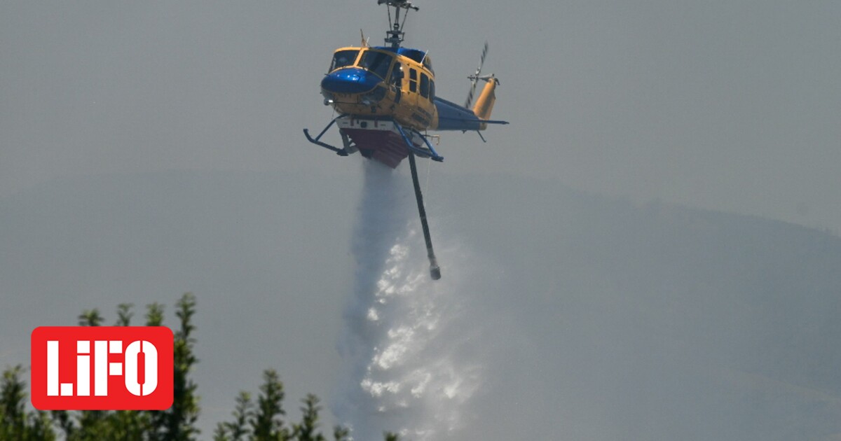 Φωτιά τώρα στην Αλυκή Βοιωτίας - Μήνυμα του 112 για απομάκρυνση των κατοίκων | LiFO