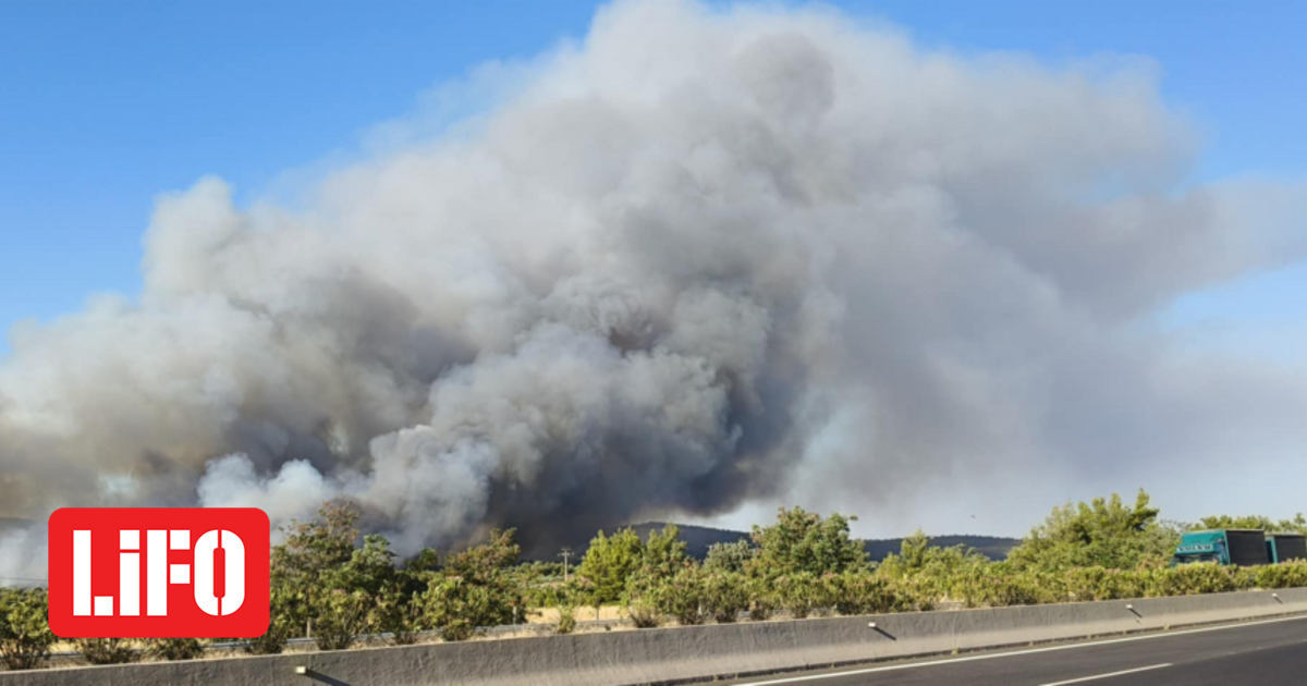 Φωτιά στον Ωρωπό: Ισχυρές εναέριες και επίγειες δυνάμεις - Εστάλη 112 | LiFO