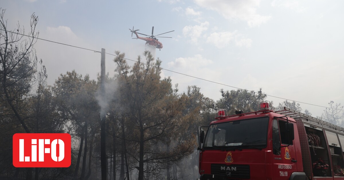 Φωτιά τώρα στη Θεσσαλονίκη στο δάσος του Φιλύρου - Μήνυμα από το 112 | LiFO
