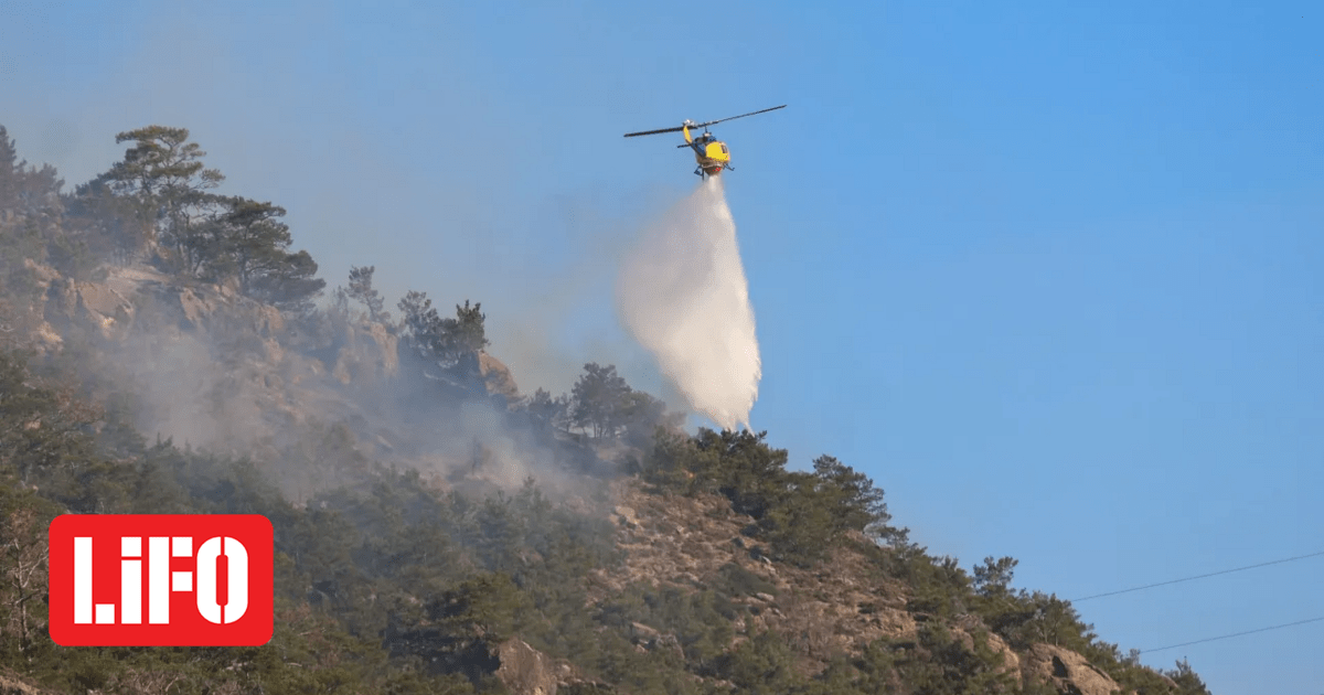 Φωτιά σε κτηνοτροφική μονάδα στο Κιλκίς – Μήνυμα 112 για επικίνδυνους καπνούς | LiFO