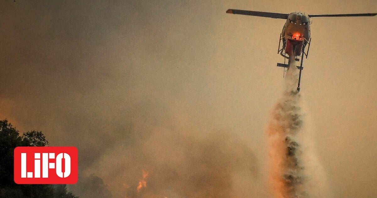 Φωτιά τώρα στη Ροδόπη - Μήνυμα από το 112 | LiFO