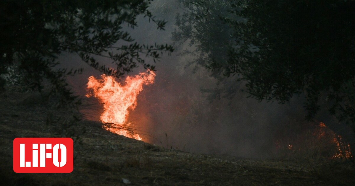 Φωτιά τώρα στην Ηλεία: Μήνυμα του 112 | LiFO