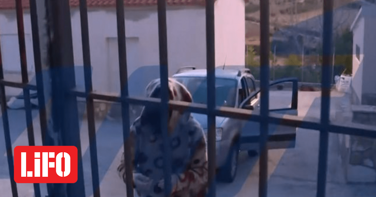 «Νιώθω τεράστια ντροπή» - Το χρονικό της υπόθεσης με την 62χρονη από τη Βοιωτία | LiFO