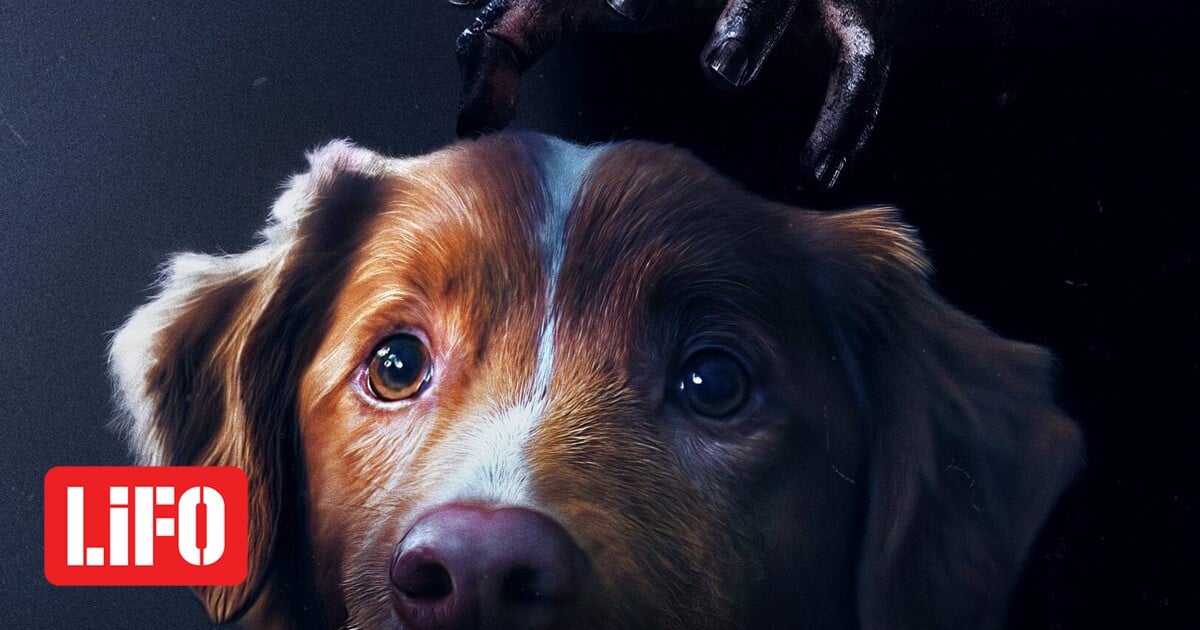 «Good Boy»: Ναι, ο σκύλος σας βλέπει φαντάσματα | LiFO
