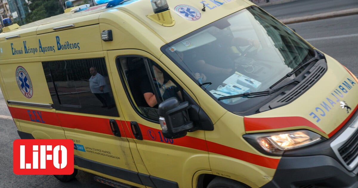 Αταλάντη: Σκύλος δάγκωσε γυναίκα και της έκοψε δύο δάχτυλα | LiFO