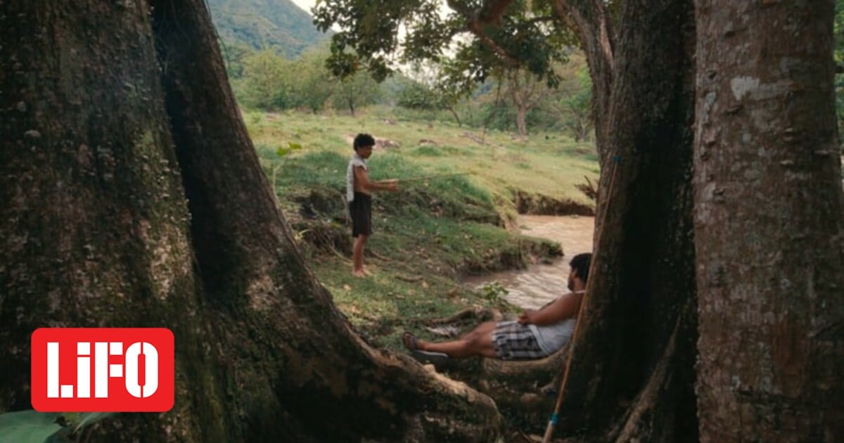 Επιβιώνοντας στην Κολομβία | LiFO