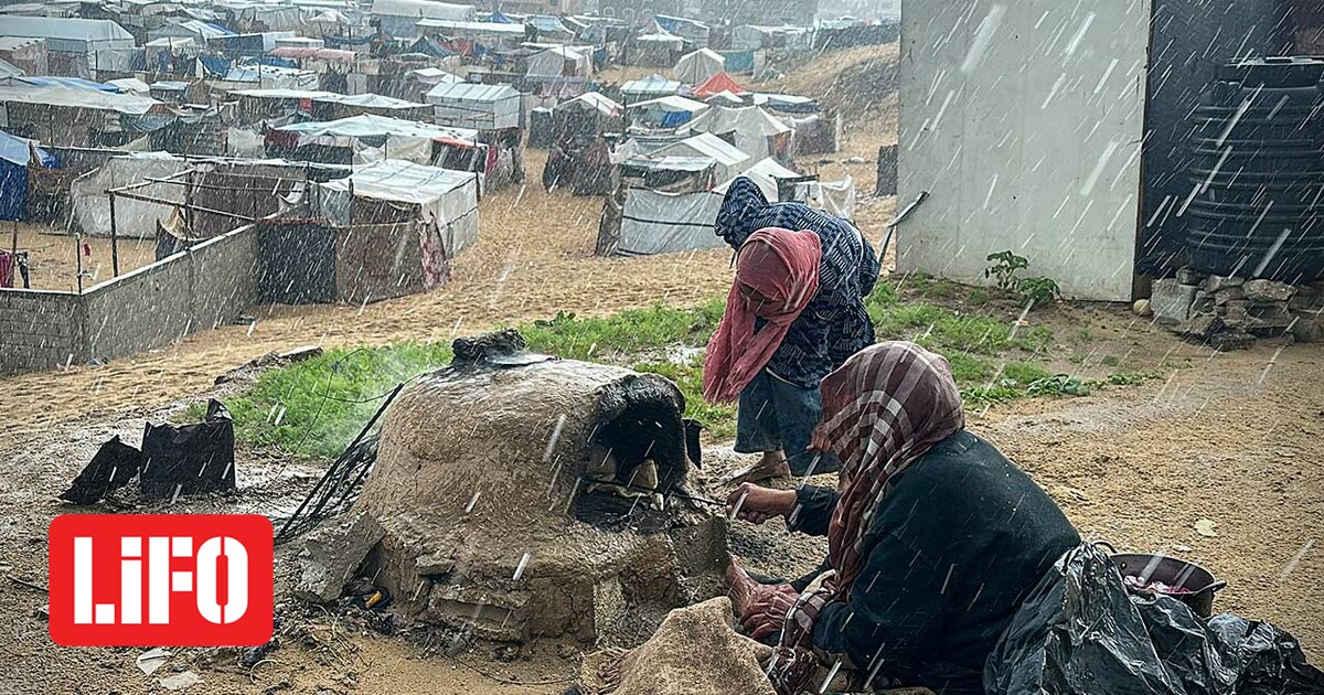 Ζώντας υπό τον νόμο της ζούγκλας: Το Ημερολόγιο της Γάζας του Rami Abou ...