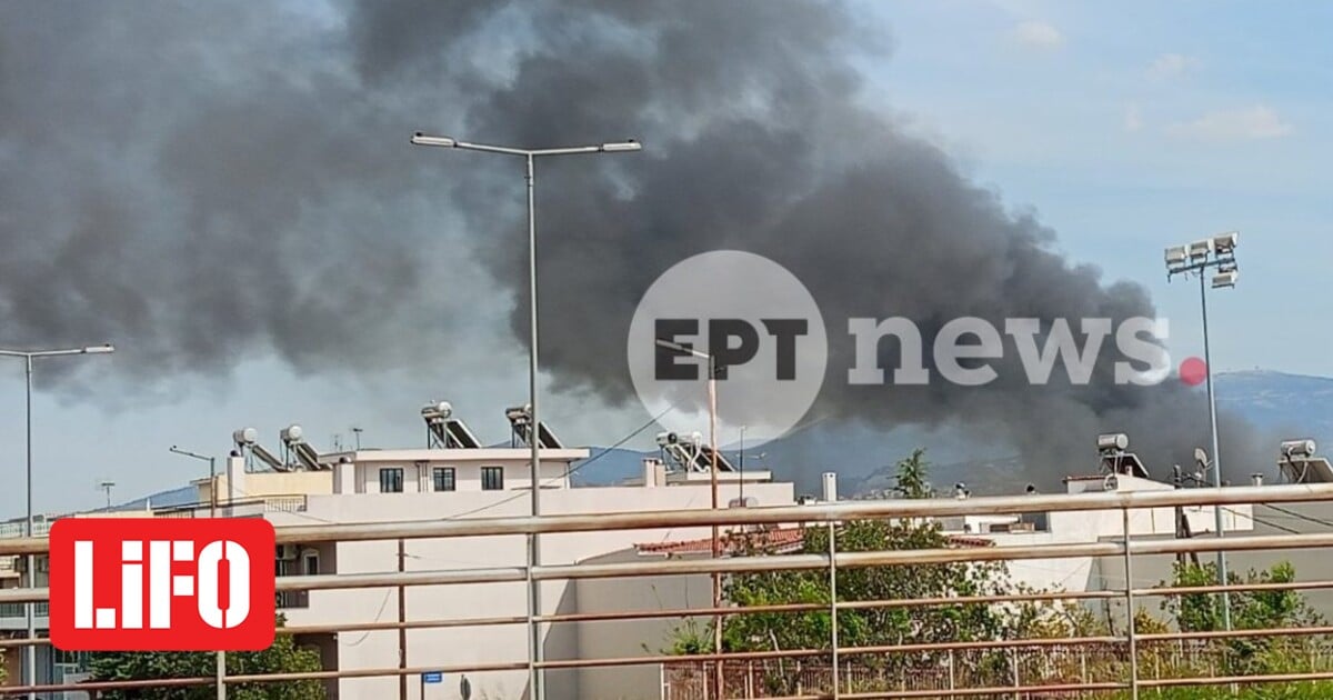 Μεγάλη φωτιά σε επιχείρηση στο Ίλιον: Επεκτάθηκε σε διαμέρισμα | LiFO