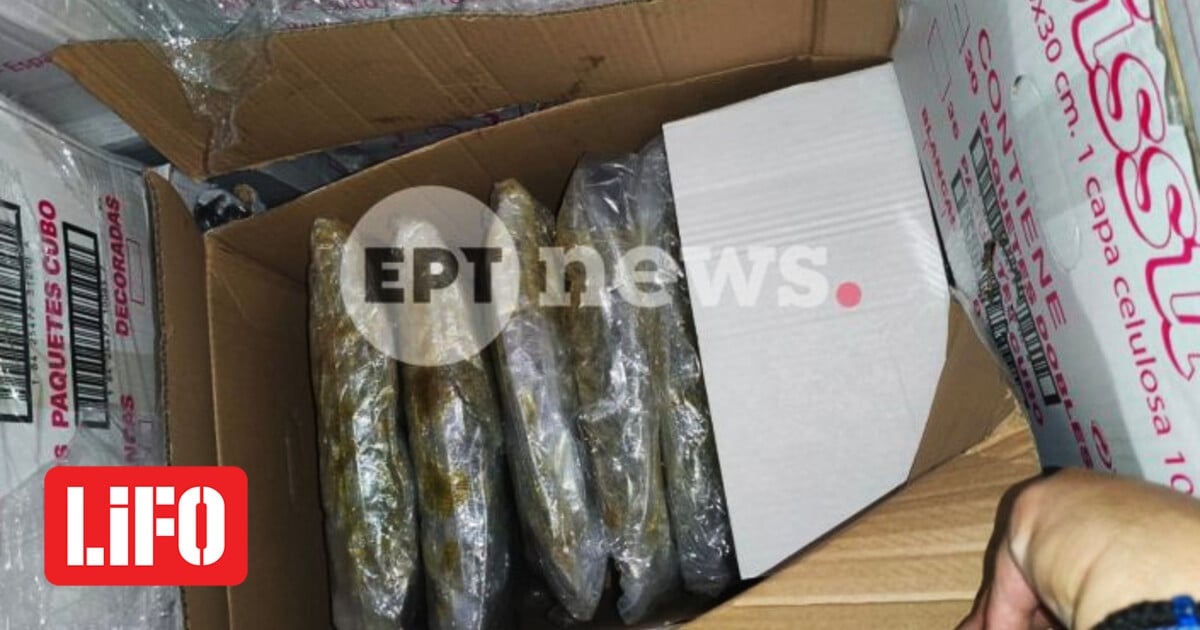 Ηγουμενίτσα: «Δεν γνώριζα τι περιέχει το εμπόρευμα» - Προφυλακίστηκε ο ...