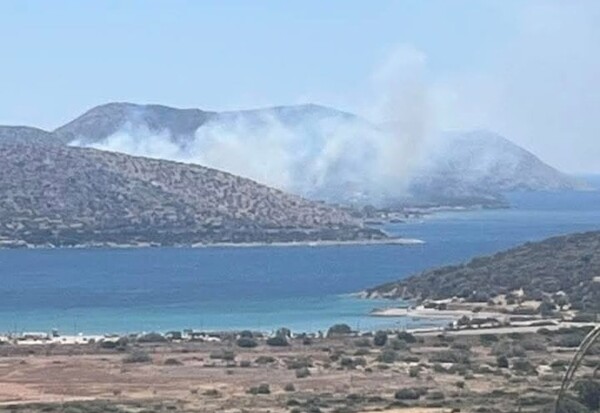 Φωτιά στην Παλαιά Φώκαια: Καίγονται σπίτια στο Θυμάρι | LiFO