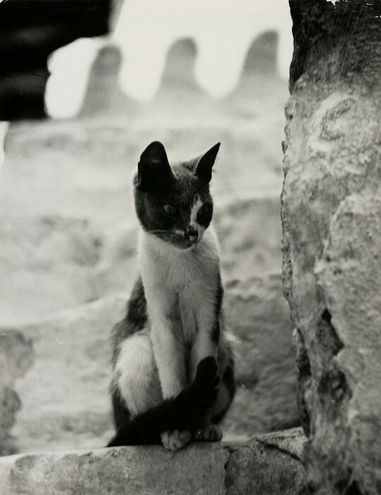 Η Ελλάδα του '50 μέσα από τον φακό της Anna Riwkin-Brick | LiFO