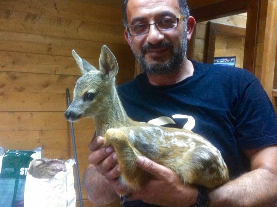 Συνέντευξη με έναν διασώστη ζώων και πουλιών: «Είναι υποχρέωσή μας» | LiFO