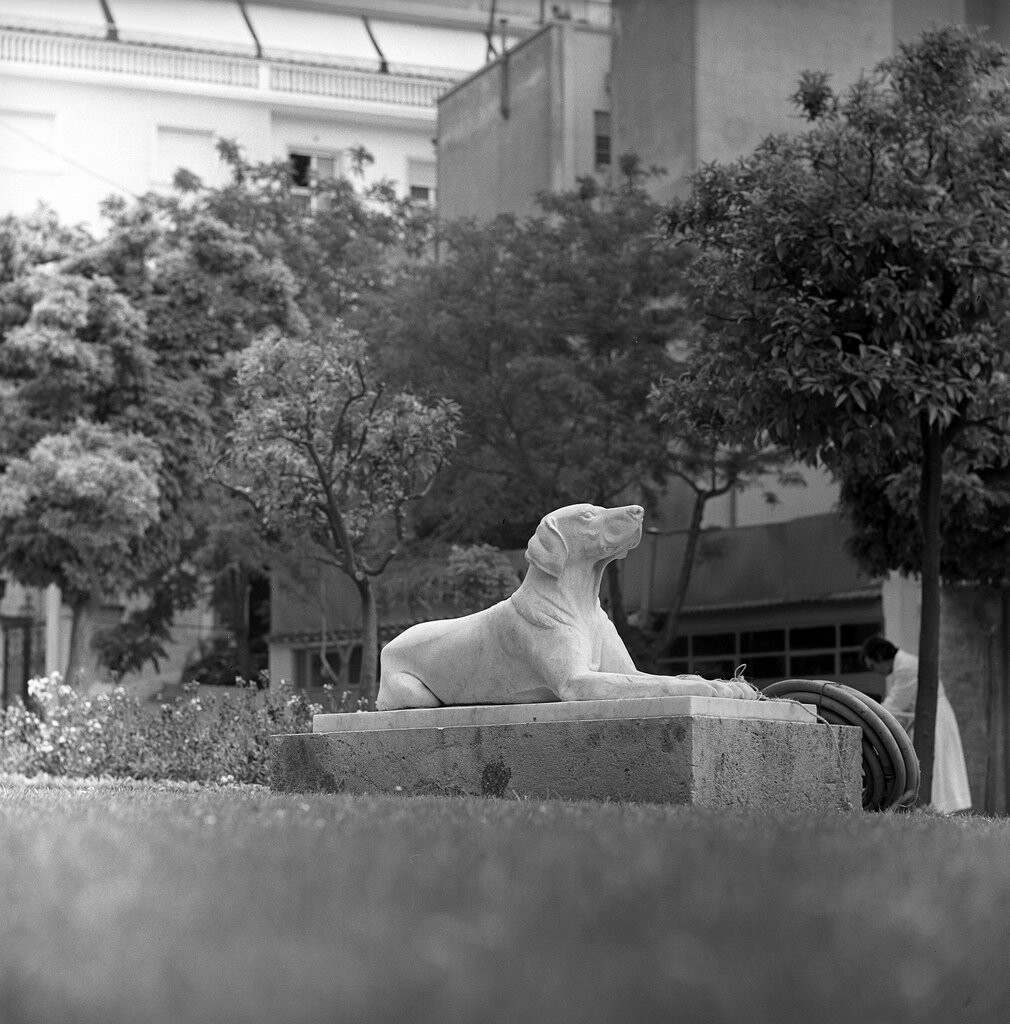 Η Ελλάδα του Nick DeWolf που δύσκολα αναγνωρίζουμε σήμερα (1959) | LiFO