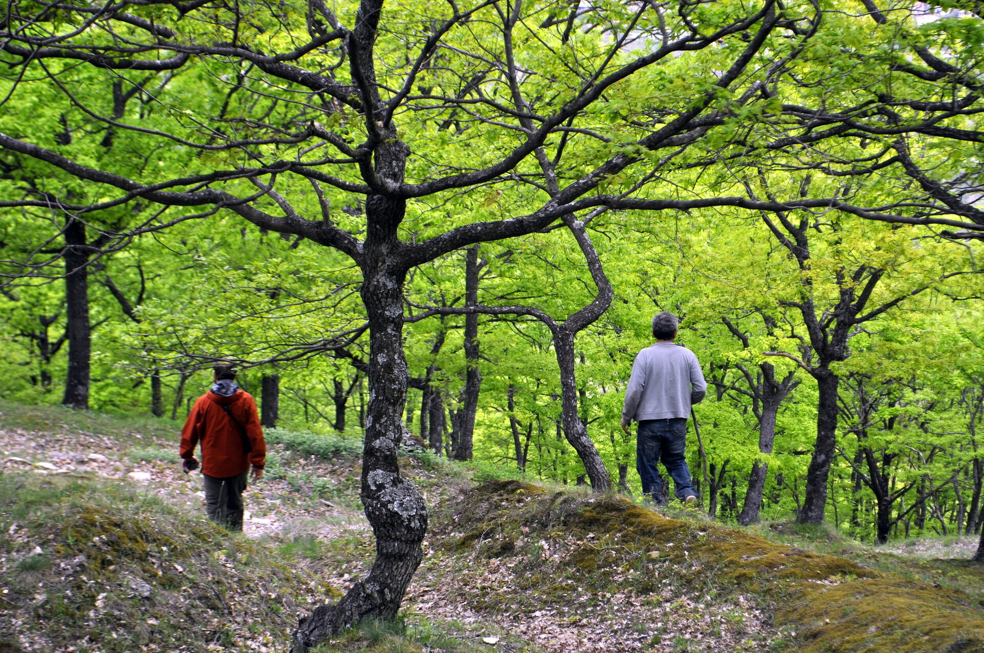 Paths of Greece: Μια ομάδα ανοίγει τα μονοπάτια που ακολουθούμε για να ...