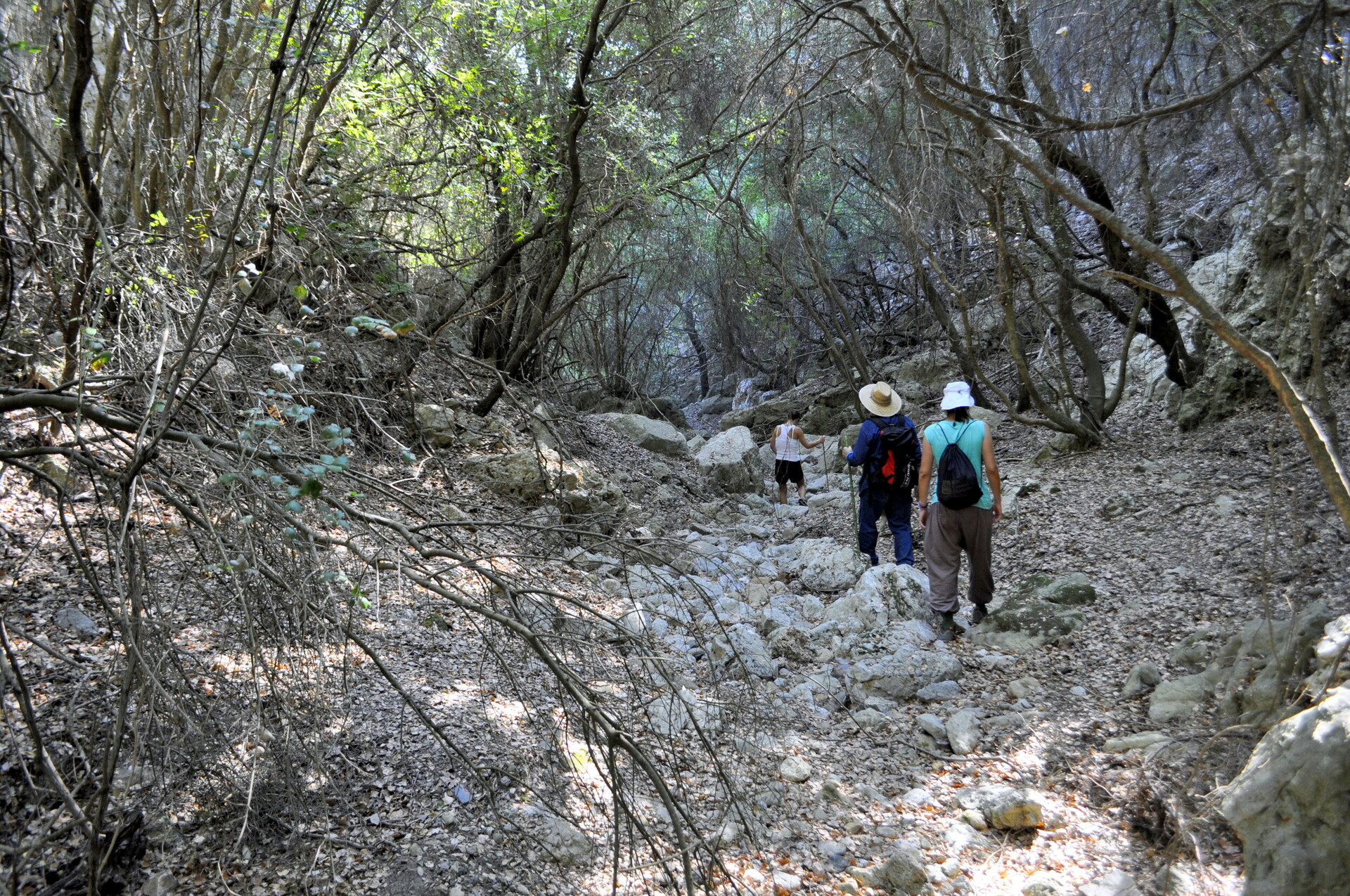 Paths of Greece: Μια ομάδα ανοίγει τα μονοπάτια που ακολουθούμε για να ...