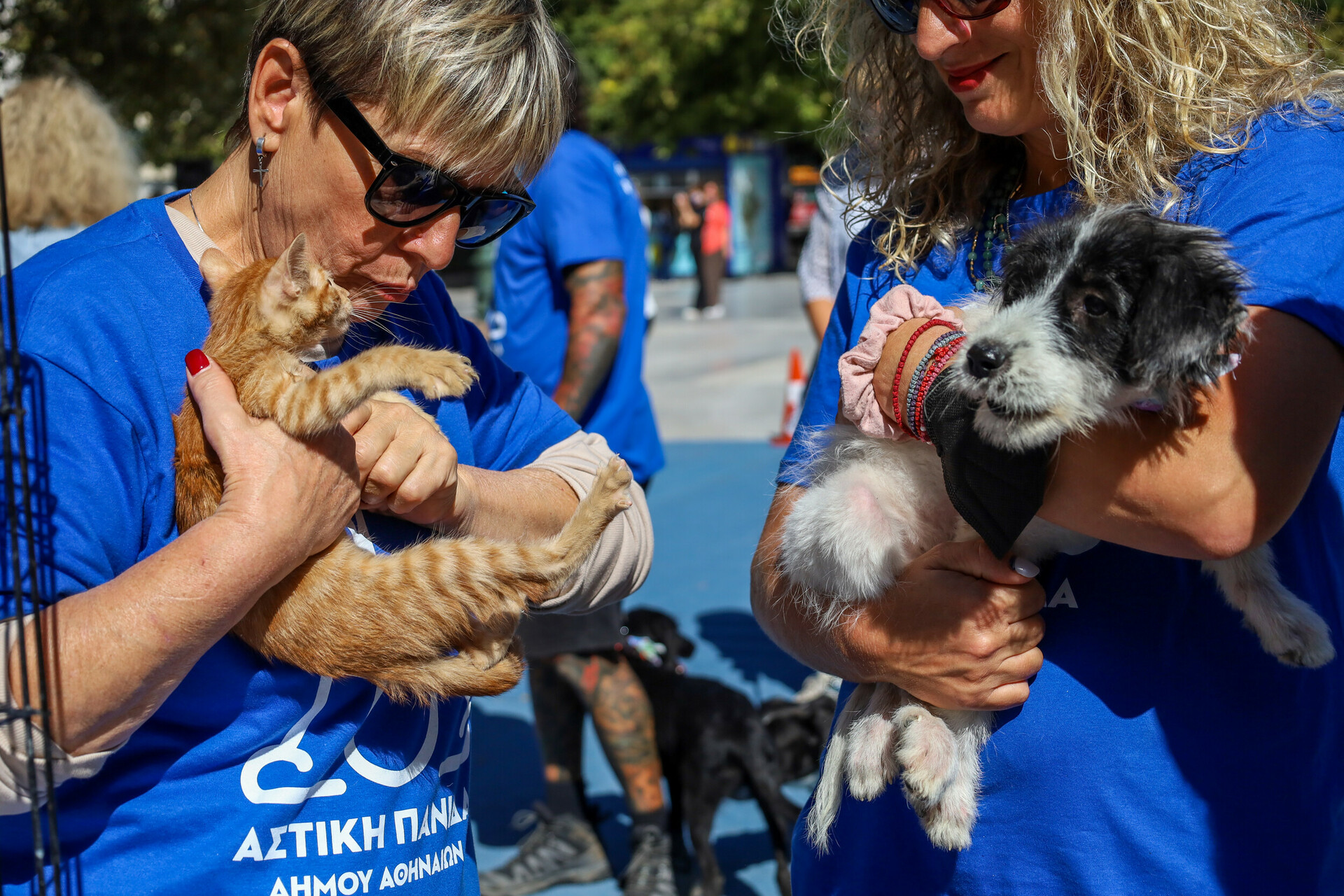 Athens Pet Festival: Το Σύνταγμα γέμισε με τετράποδους φίλους στο πρώτο ...