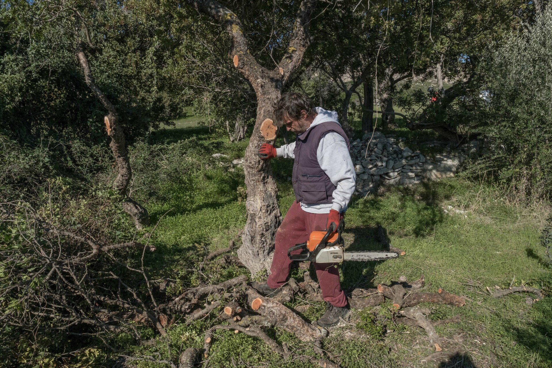Γιάννης Μακριδάκης: «Ομότεχνος νιώθω μόνο με τους ανθρώπους του ...