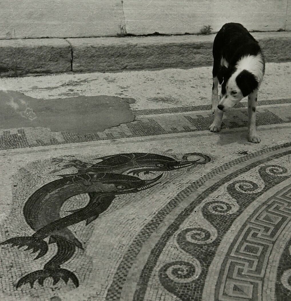 Η Ελλάδα του '50 μέσα από τον φακό της Anna Riwkin-Brick | LiFO