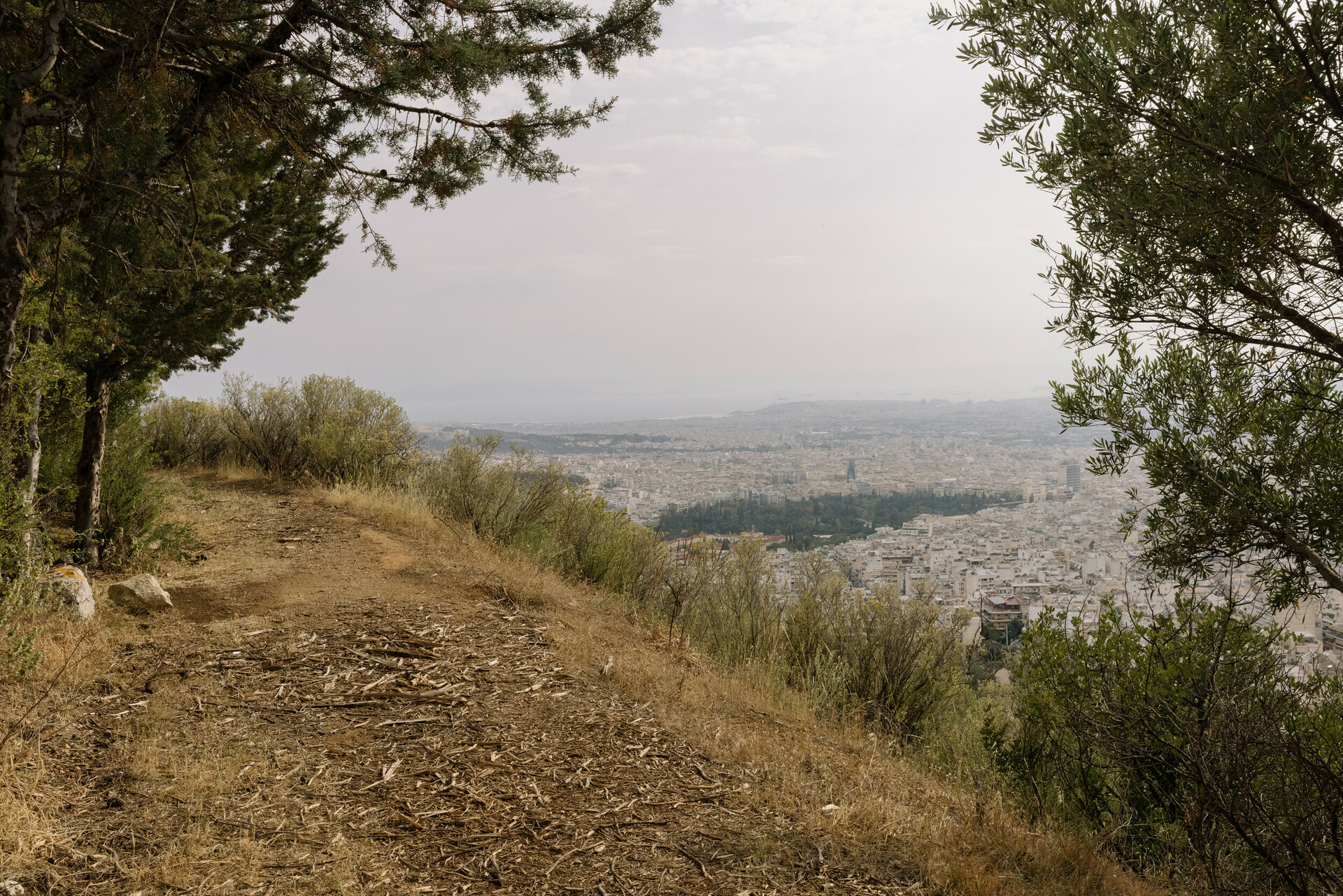 Οικισμός Παπανδρέου: Το άγνωστο χωριό της Αθήνας | LiFO