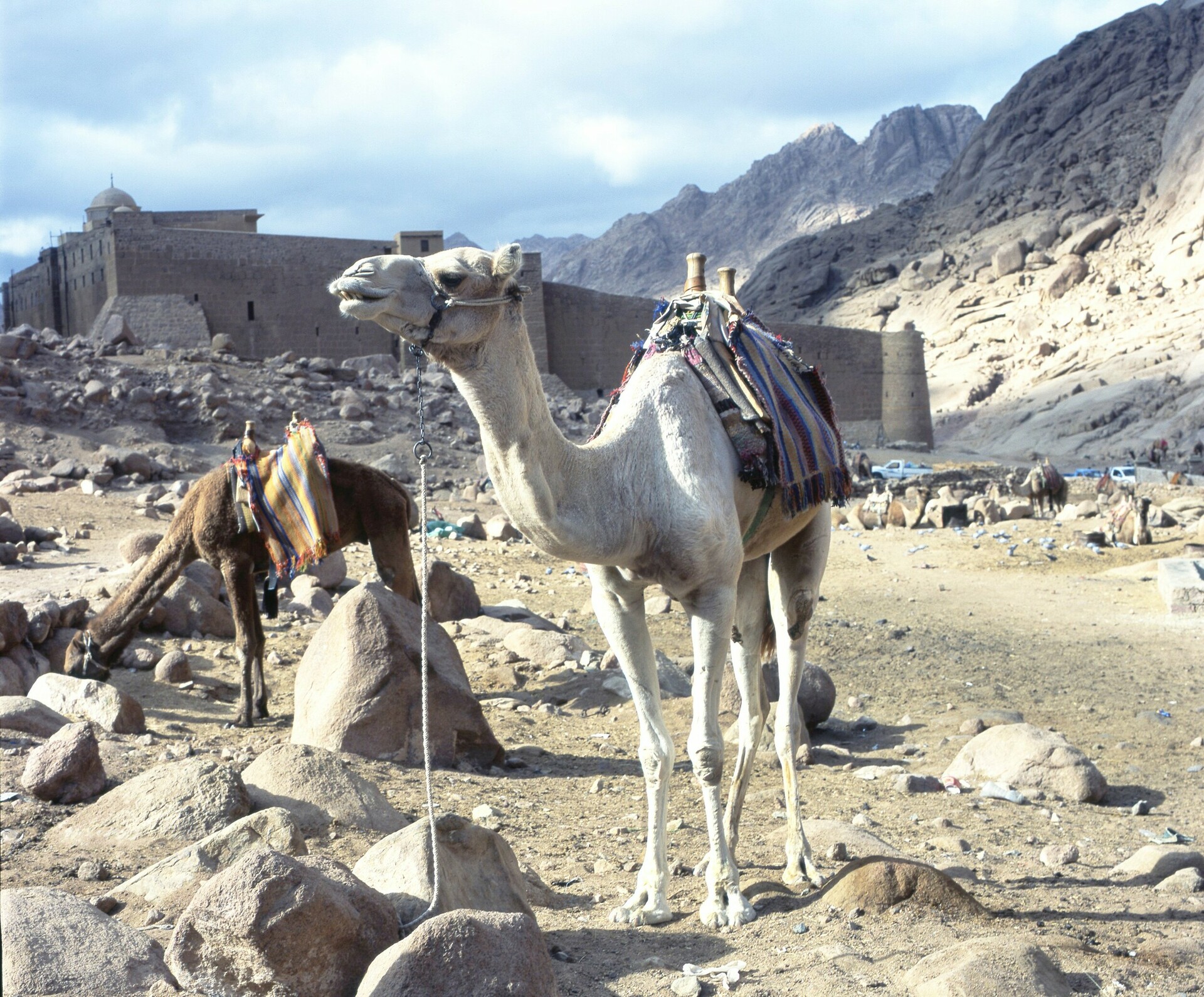 Μονή Αγίας Αικατερίνης του όρους Σινά. Η μεγάλη αλλοίωση. | LiFO