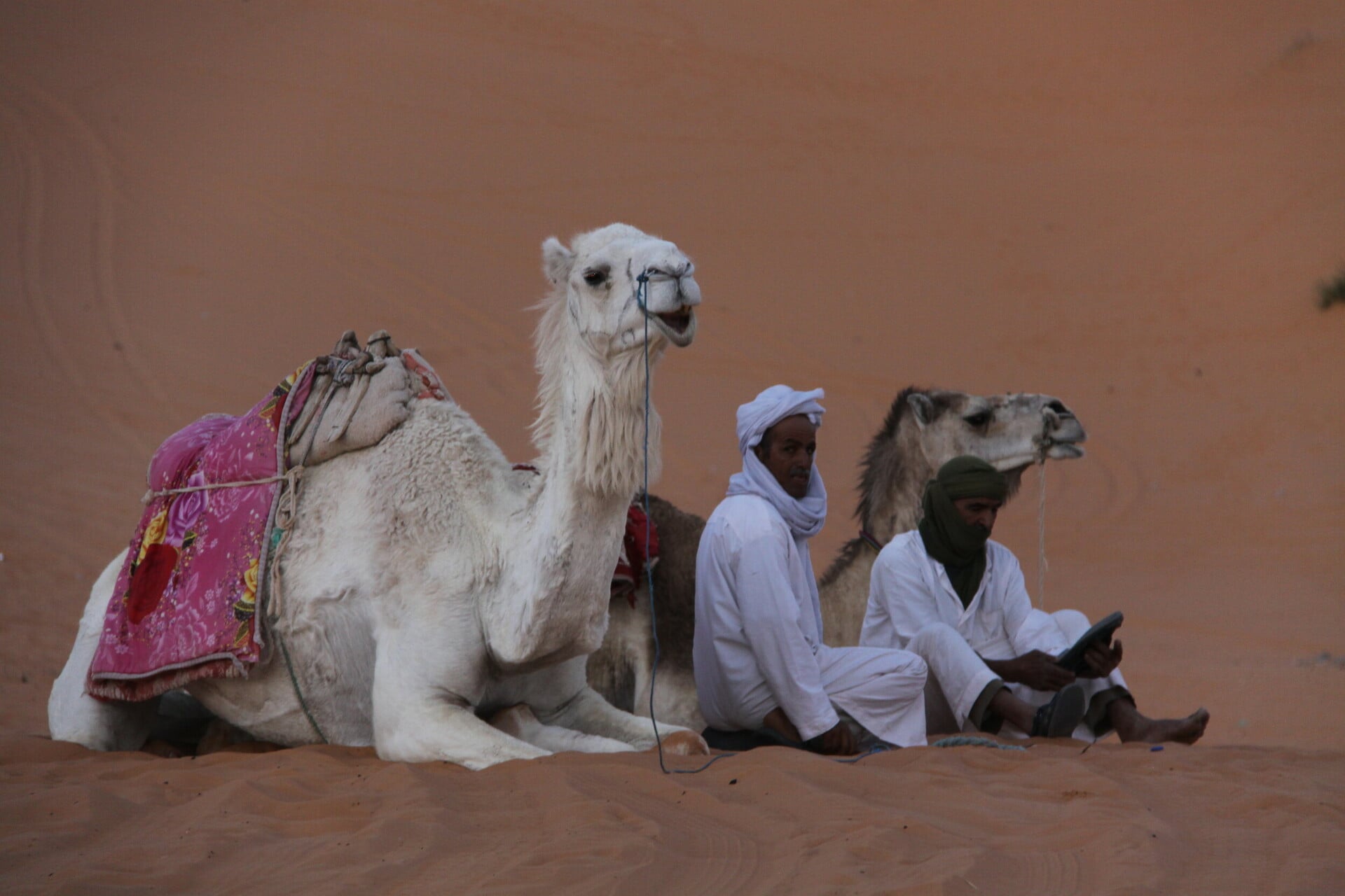 Ταξίδι στην απέραντη έρημο της Αλγερινής Σαχάρας | LiFO