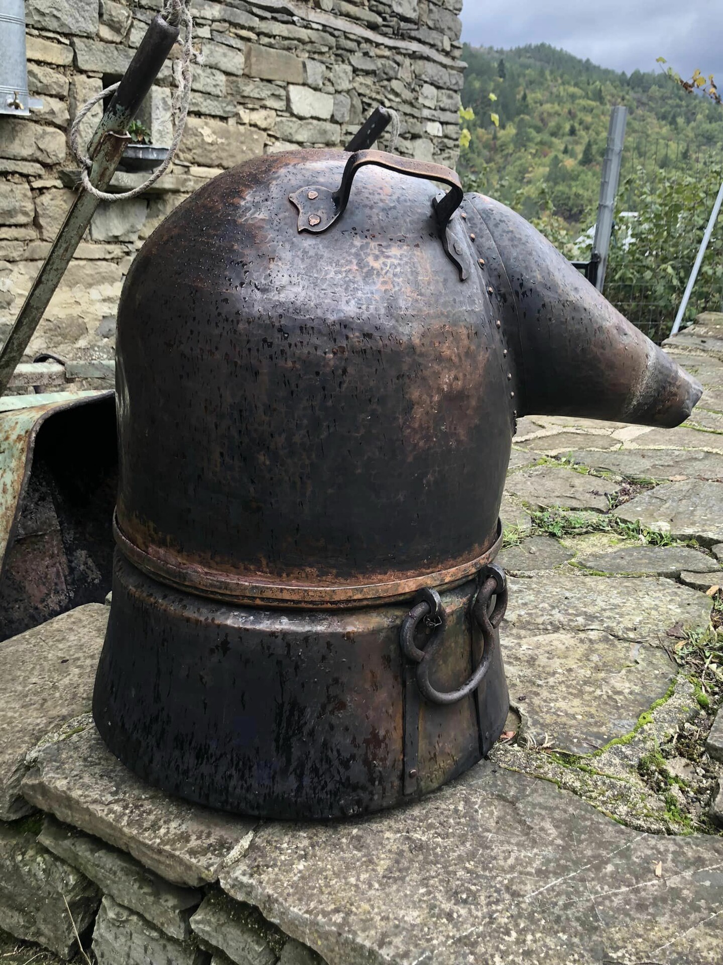 Δυο συνταξιούχοι χορευτές της Λυρικής άφησαν την Αθήνα στο πρώτο lockdown για την Καστάνιανη | LiFO