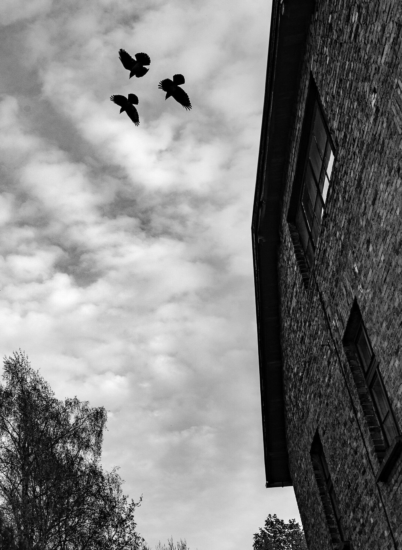 «Tehom», όπως άβυσσος: Το φωτογραφικό ταξίδι αυτογνωσίας και λύτρωσης ...