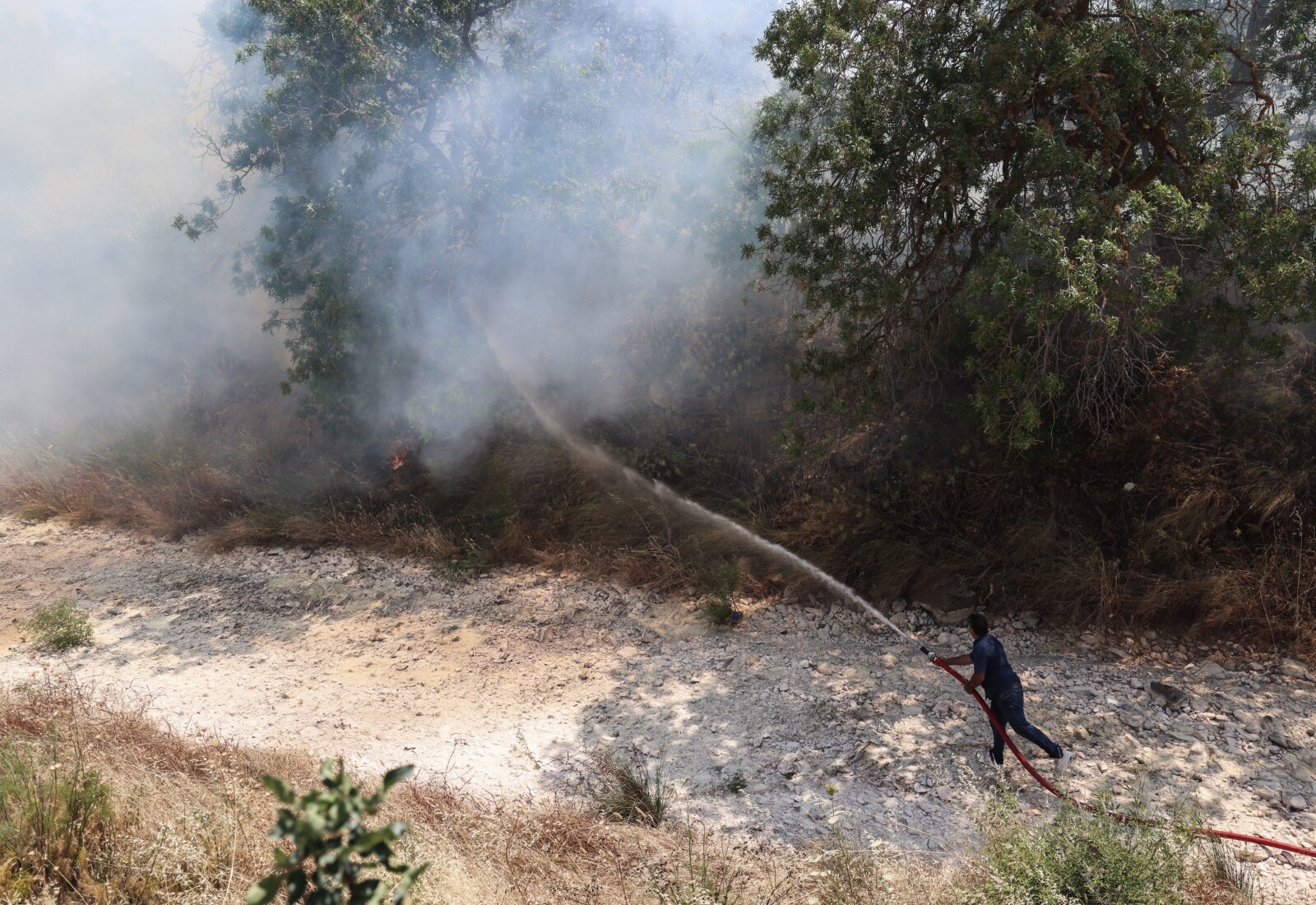 Φωτιά στη Χίο: Καίει εκτός ελέγχου - Σε μικρή απόσταση από σπίτια | LiFO