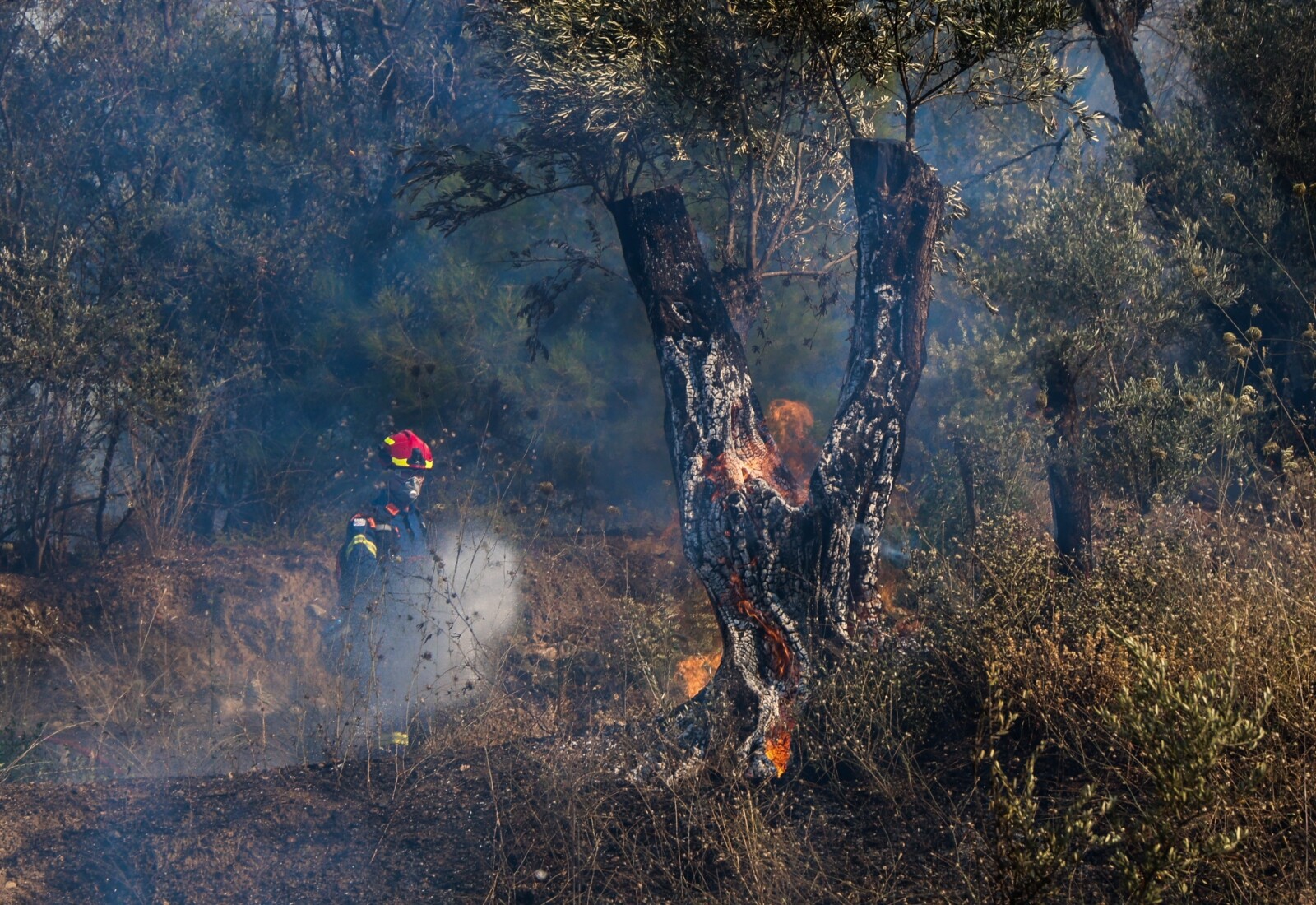 Φωτιά στη Χίο: Νέα εικόνα από δορυφόρο - Μάχη με τις αναζωπυρώσεις | LiFO