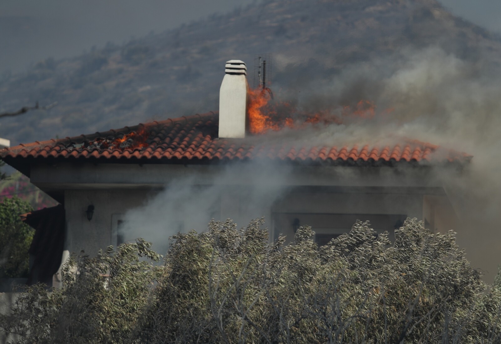 Φωτιά στην Παλαιά Φώκαια: Στις φλόγες σπίτια στο Θυμάρι ...
