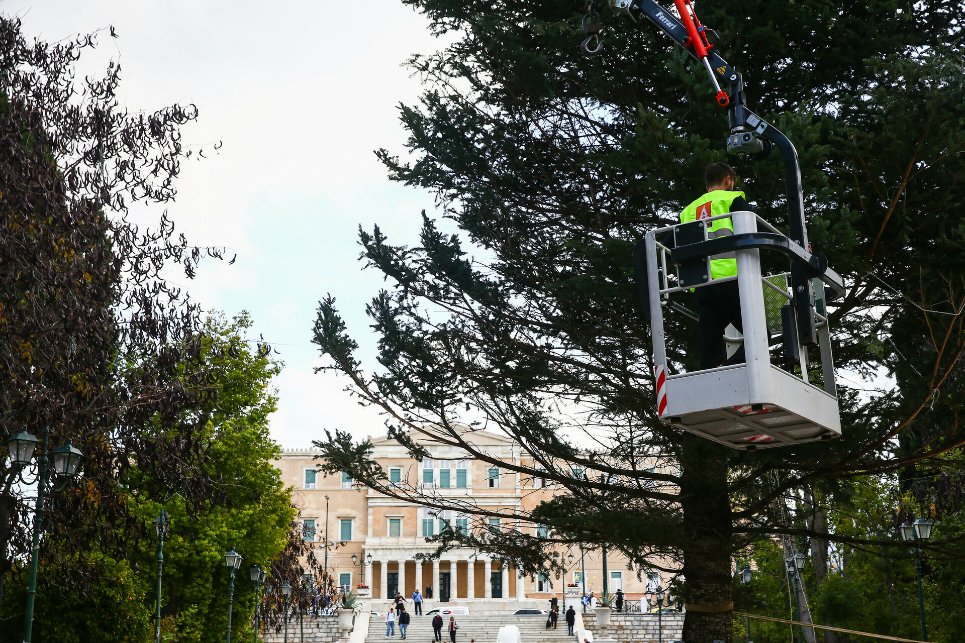 Χριστούγεννα στην Αθήνα: Έφτασε το δέντρο στο Σύνταγμα - Πότε θα ...