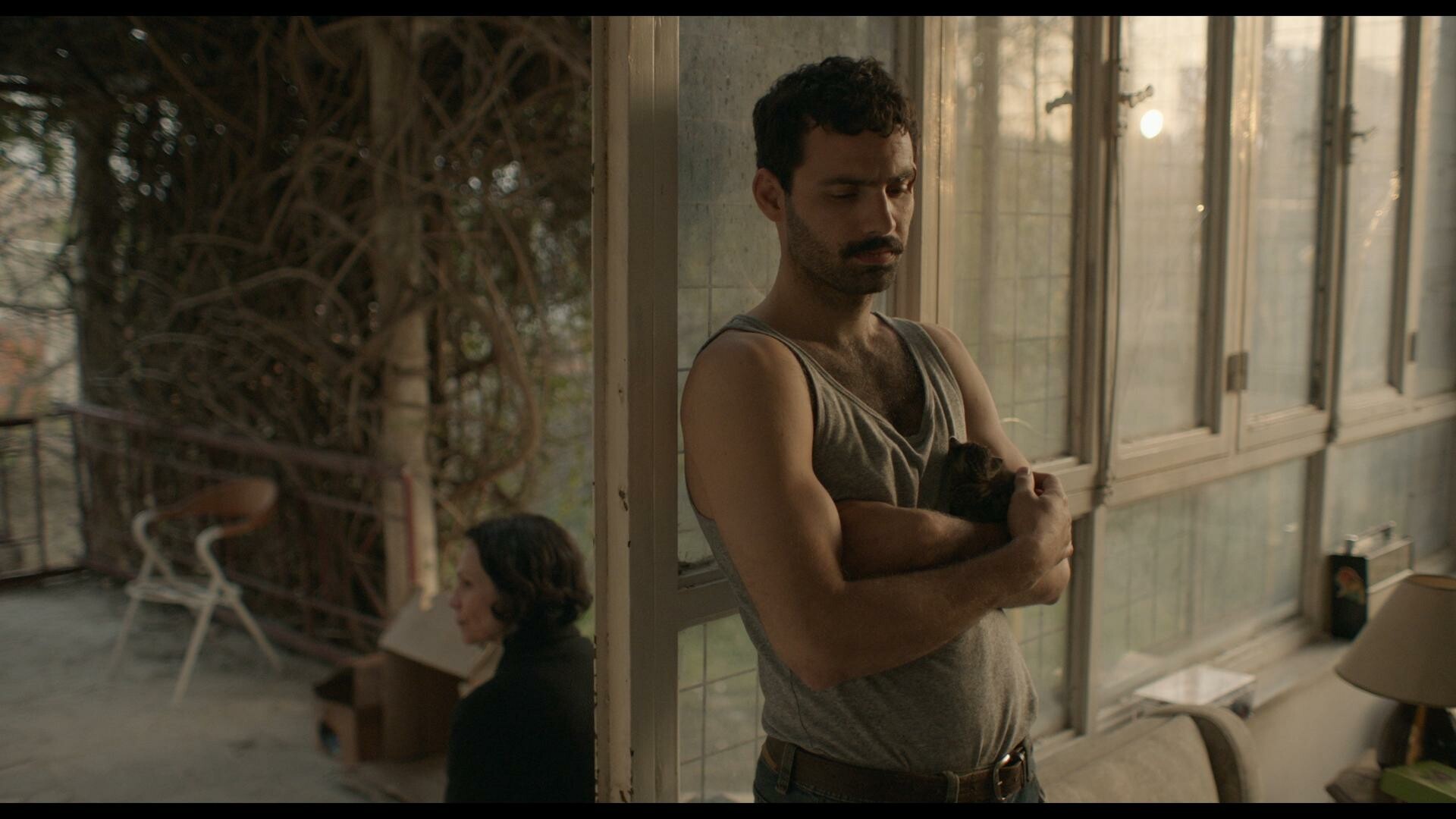 Wishbone (Wishbone) | Σινεμά | LiFO