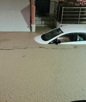 Αργοναύτες, χελιδονόψαρα, δελφίνια και χταπόδια στην αρχαία ελληνική τέχνη | LiFO